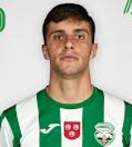 Carriera Arena, goal, presenze