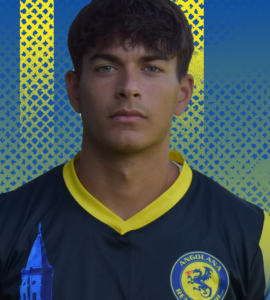 Carriera Benigni, goal, presenze