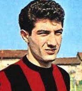 Carriera Favalli, goal, presenze