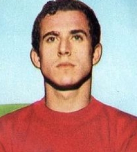 Carriera Vignando, goal, presenze