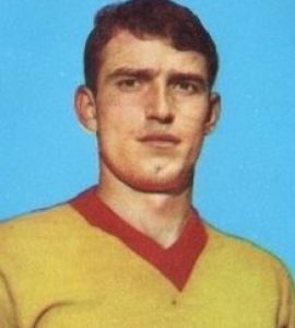 Carriera Zimolo, goal, presenze