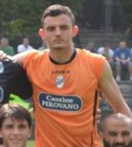 Carriera Radaelli, goal, presenze