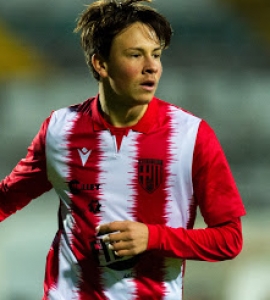 Carriera Ruani, goal, presenze