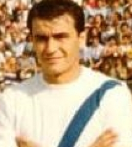 Carriera Raimondi, goal, presenze