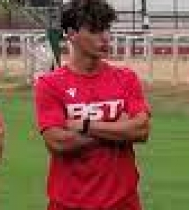 Carriera Trevisiol, goal, presenze