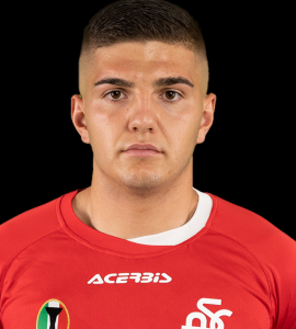 Carriera Zovko, goal, presenze