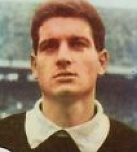 Carriera Dinelli, goal, presenze