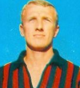 Carriera Maioli, goal, presenze