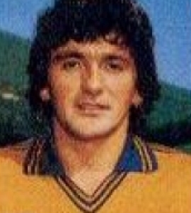 Carriera Manfrin, goal, presenze